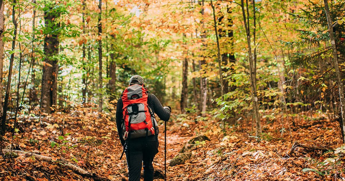 Hike Safe - Hike Safe